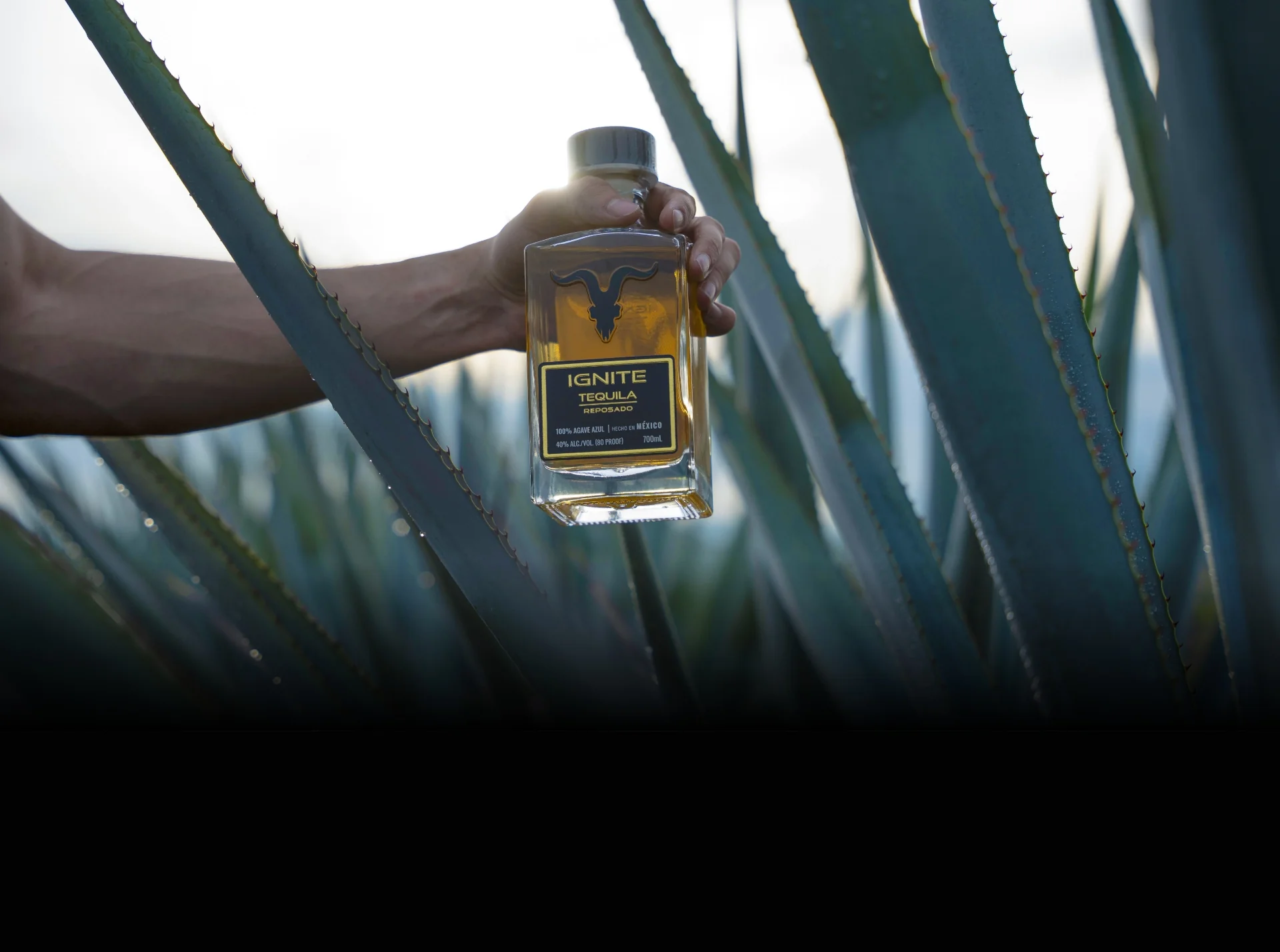 OUR TEQUILAS - IGNITE SPIRITS